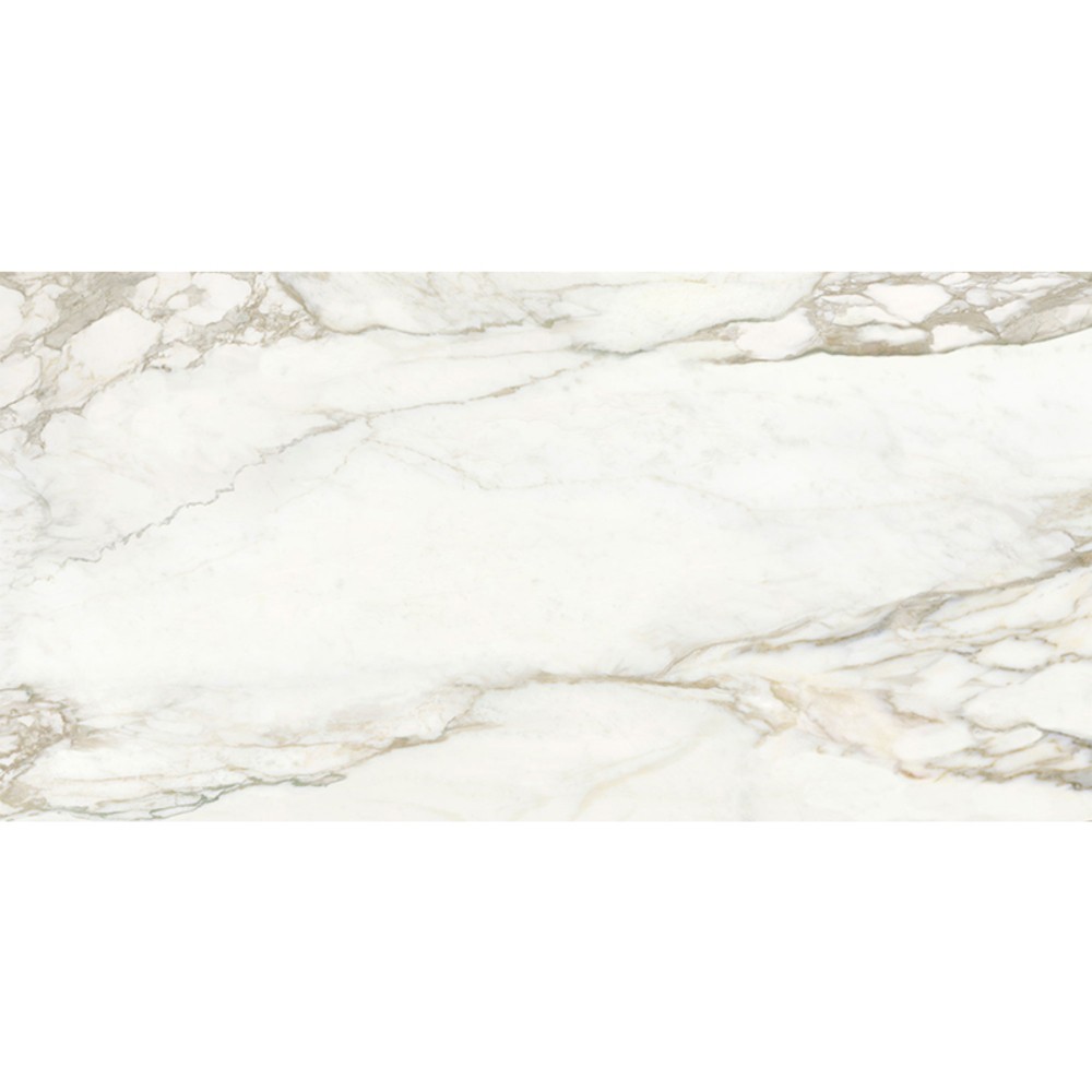 Calacatta Gold Wall Panel | Wall Panels | Arcedior